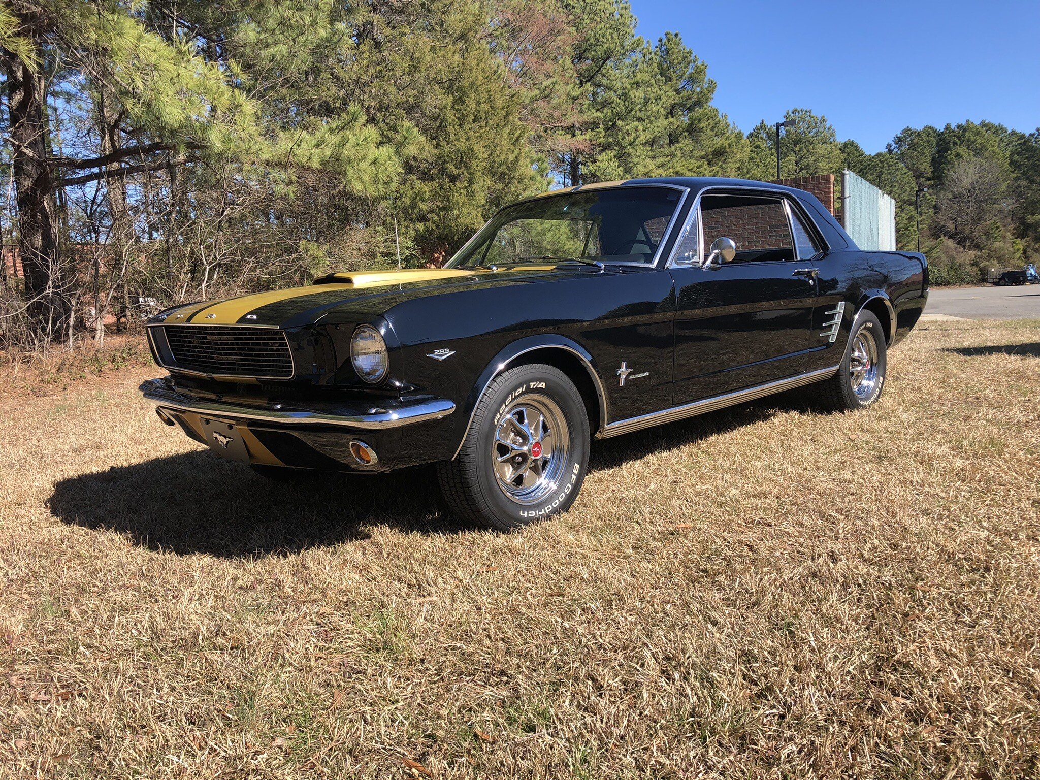 1966 Ford Classics for Sale - Classics on Autotrader