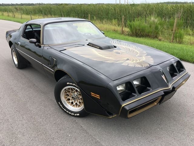 1981 Pontiac Firebird Classics for Sale - Classics on Autotrader